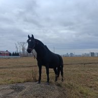 Иконка канала Вконтакте