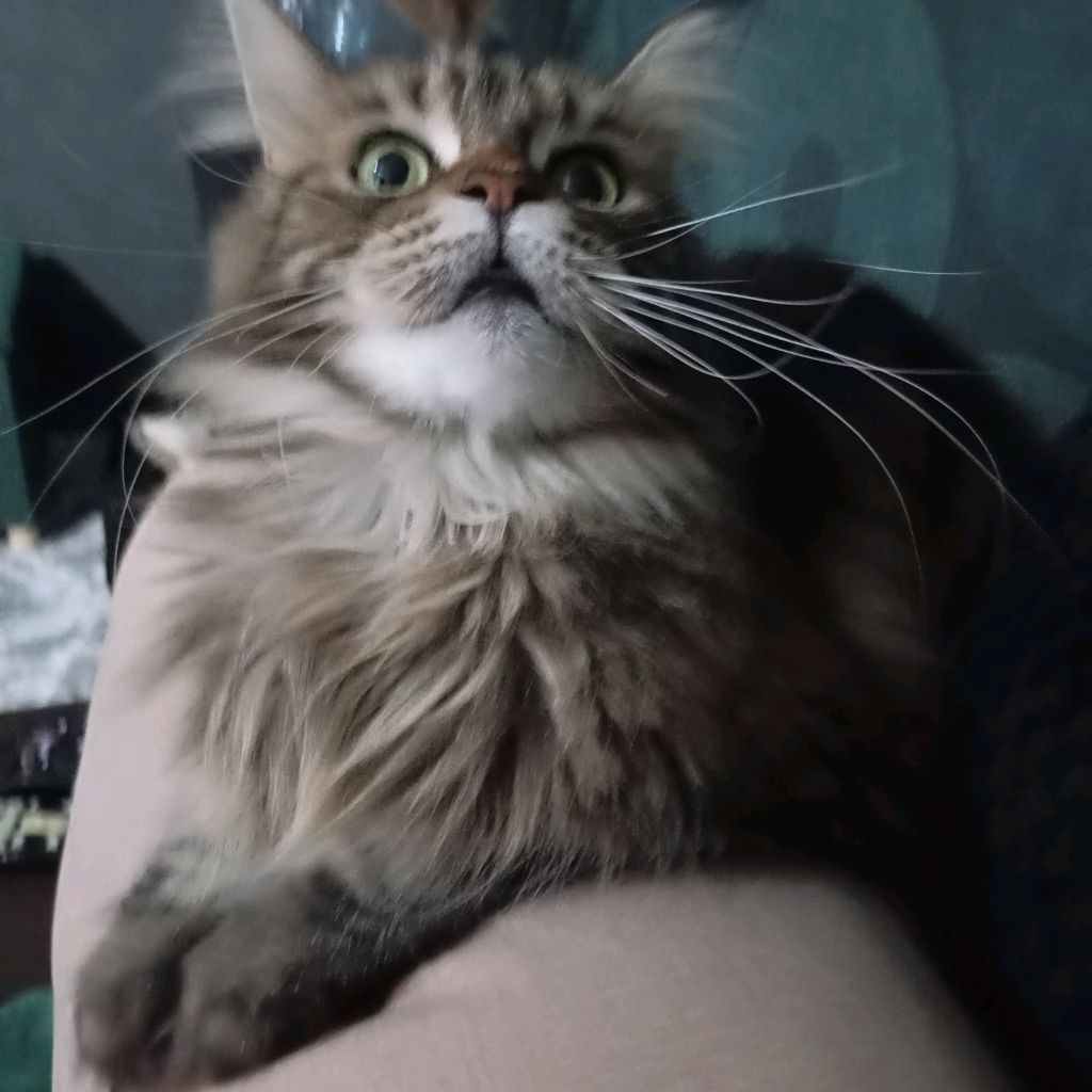 Иконка канала channel44158983