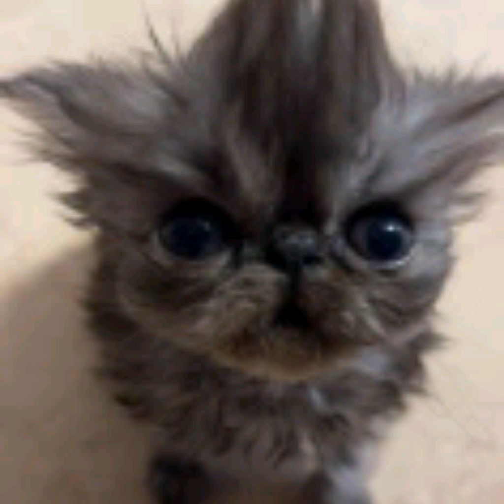 Иконка канала ★✮~Яsя~✮★