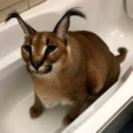 Иконка канала Z 78 k