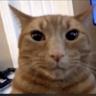 Иконка канала roman1ch0 play