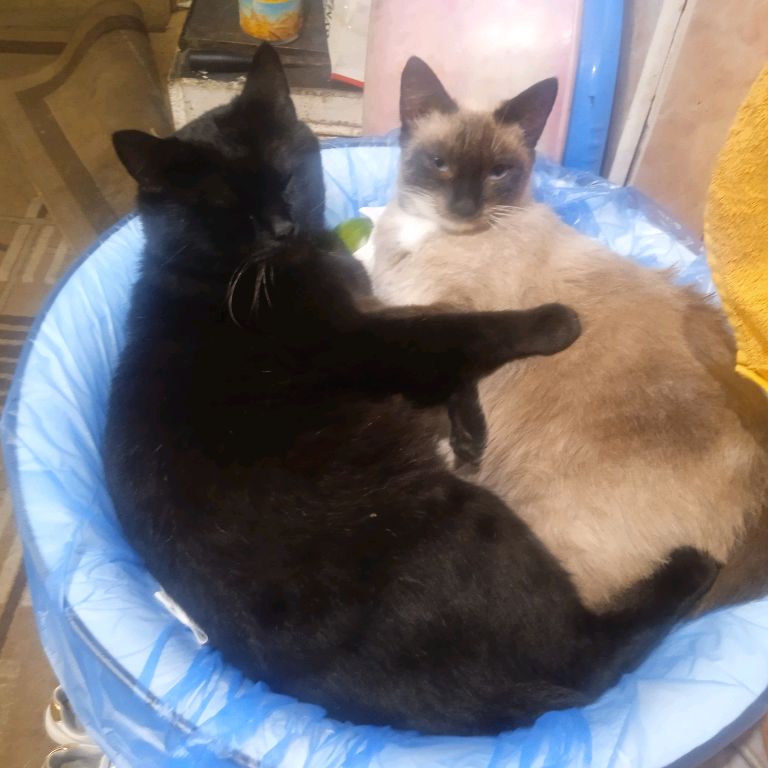 Иконка канала channel49618101