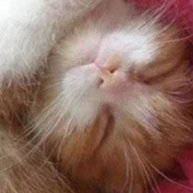 Иконка канала Просто перезаливы