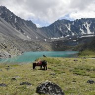 Иконка канала хроники Дома Дракона