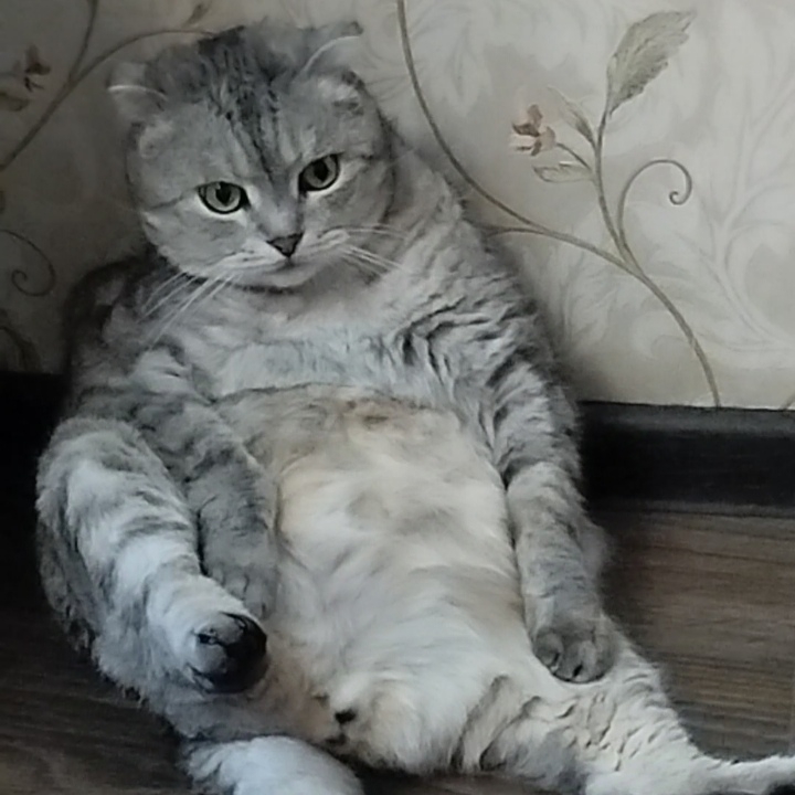 Иконка канала Андрей А
