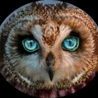 Иконка канала Филин