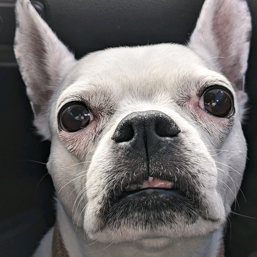 Иконка канала Рецепты Бони 👩🏼🍳