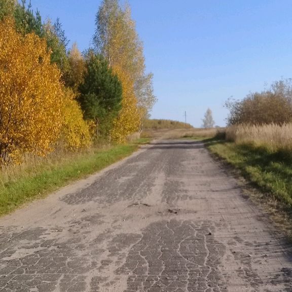 Иконка канала channel49932316
