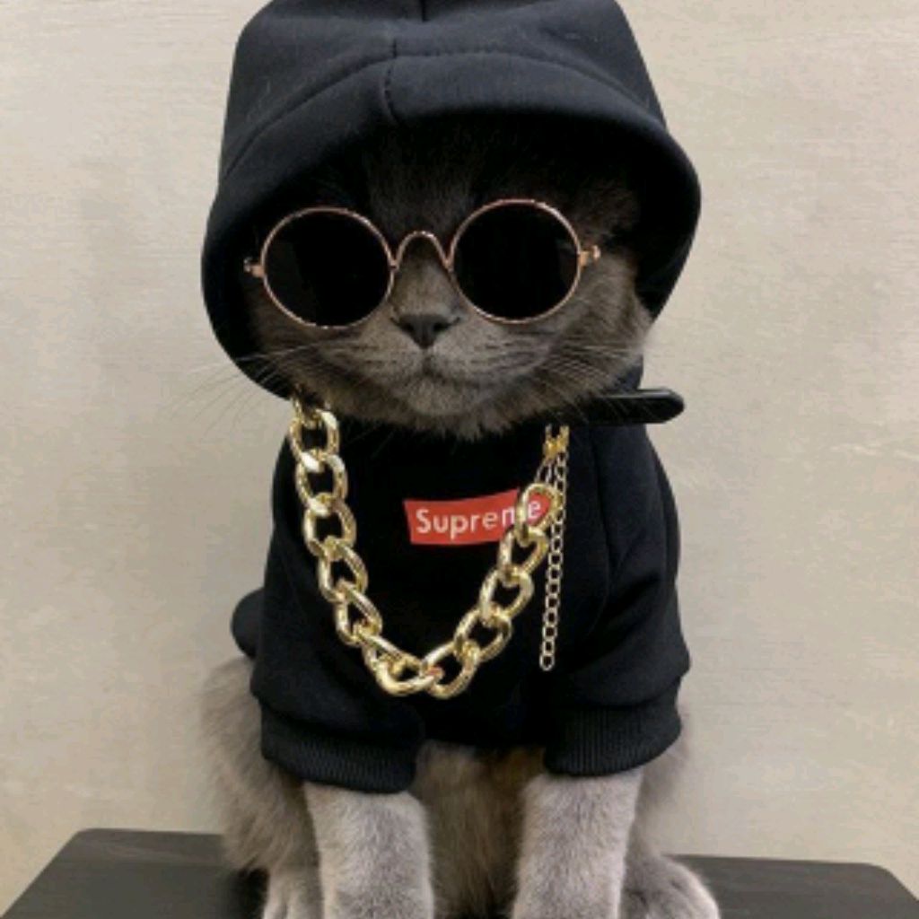 Иконка канала DANYA
