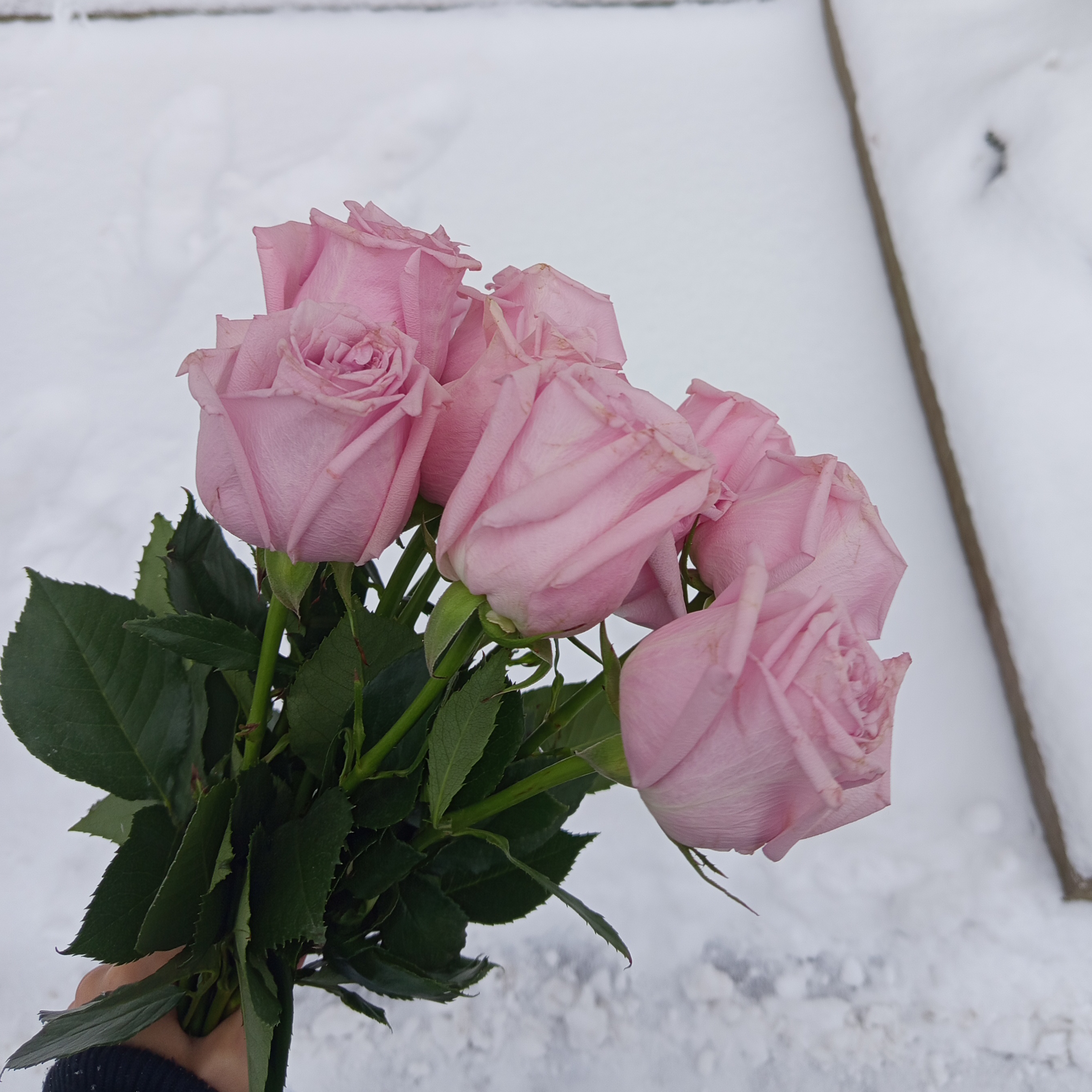 Иконка канала #.-влоги♡^•^
