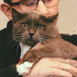 Иконка канала vasyacat