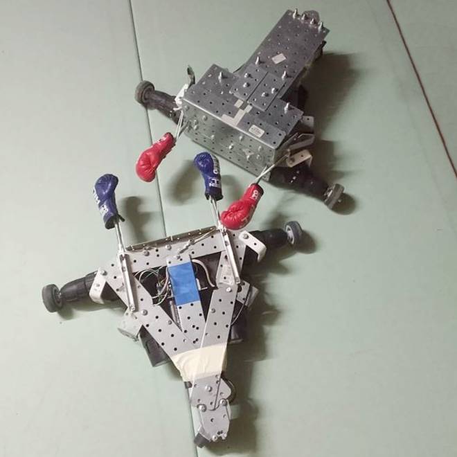 Иконка канала РобоСтрана