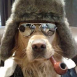 Иконка канала Обзор игр на пк новых и старых