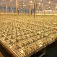 Иконка канала Перспективные Агро технологии