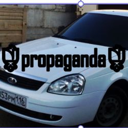Иконка канала 🌹propaganda🌹