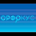 Иконка канала АНО ОрФокус