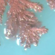 Иконка канала Лаборатория реального мира