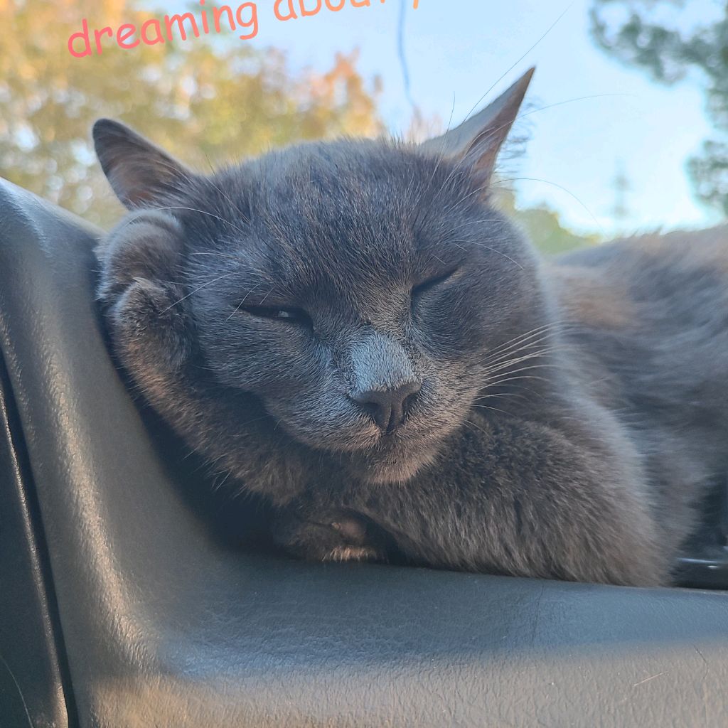 Иконка канала DoubleDums