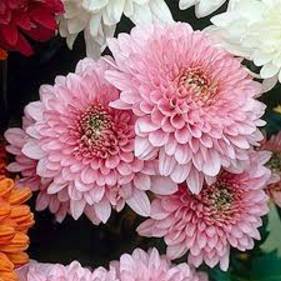 Иконка канала Лариса98