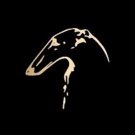 Иконка канала BORZOVA DESIGN X DEVELOPMENT GROUP