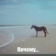 Иконка канала почемука