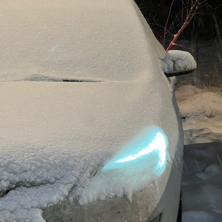 Иконка канала # баварская Ляля BMW