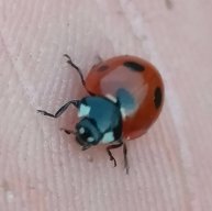 Иконка канала MemoriaLTver