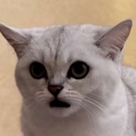 Иконка канала Катя Коффинг