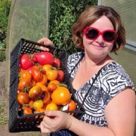 Иконка канала КОЛЛЕКЦИЯ ТОМАТОВ 74