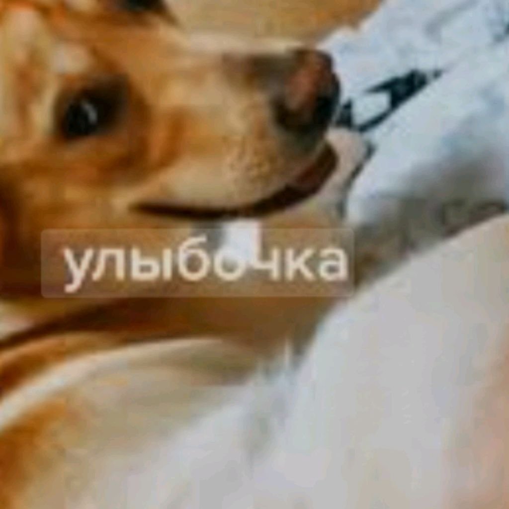 Иконка канала Фикс