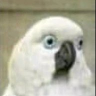 Иконка канала Александр+