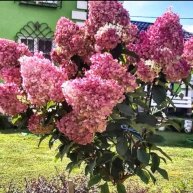 Иконка канала наташинИсерёжинСАД