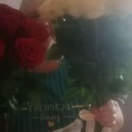 Иконка канала Kylenaro TVTV И немного обо всём.