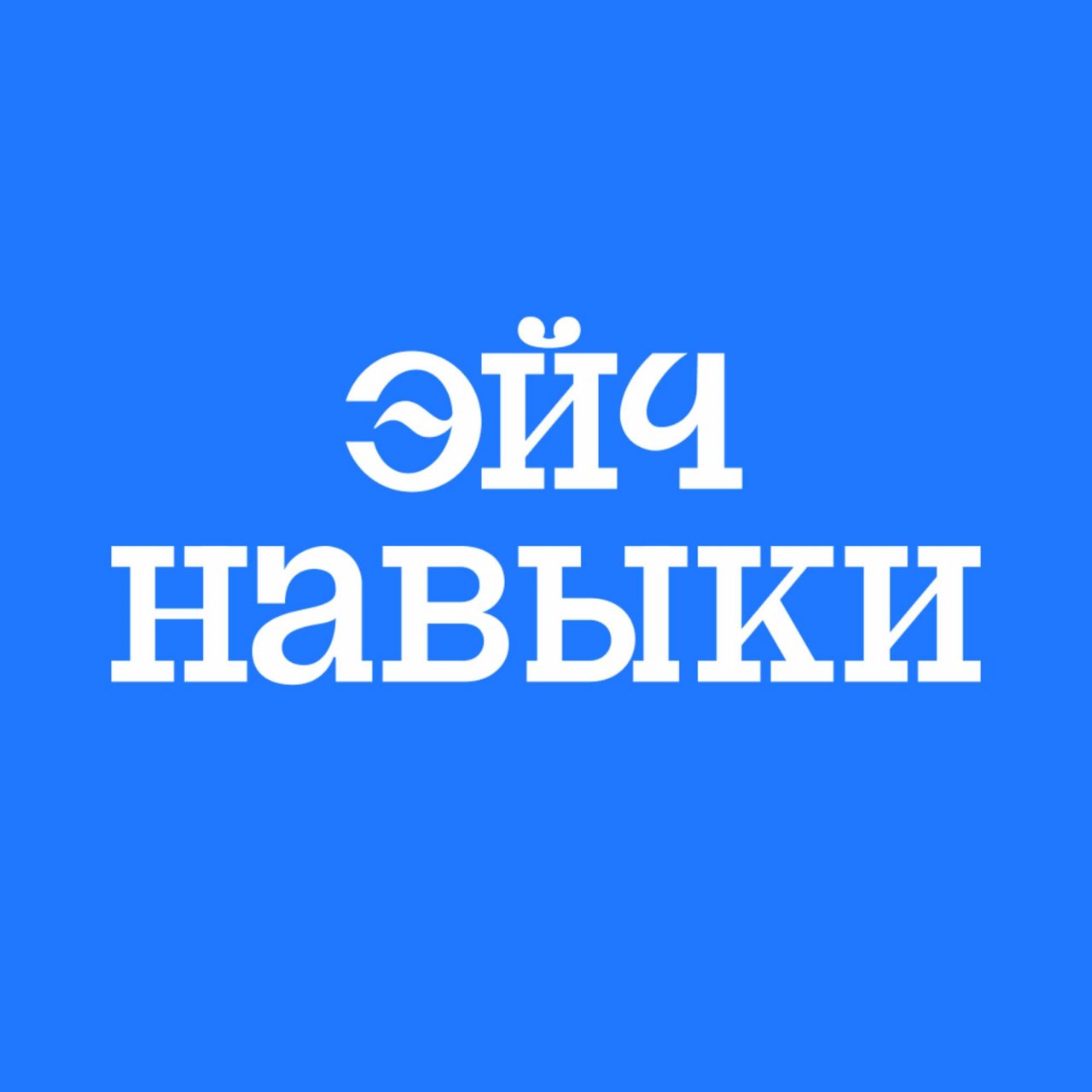 Иконка канала Эйч Навыки