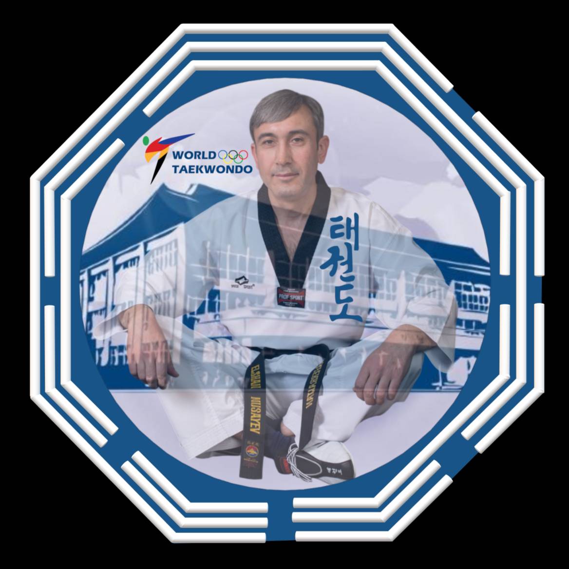 Иконка канала TAEKWONDO POOMSAE