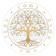 Иконка канала Союз Души Ума и Тела