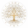 Иконка канала Союз Души Ума и Тела