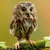 Иконка канала Кто-то