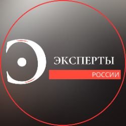 Иконка канала Эксперты России