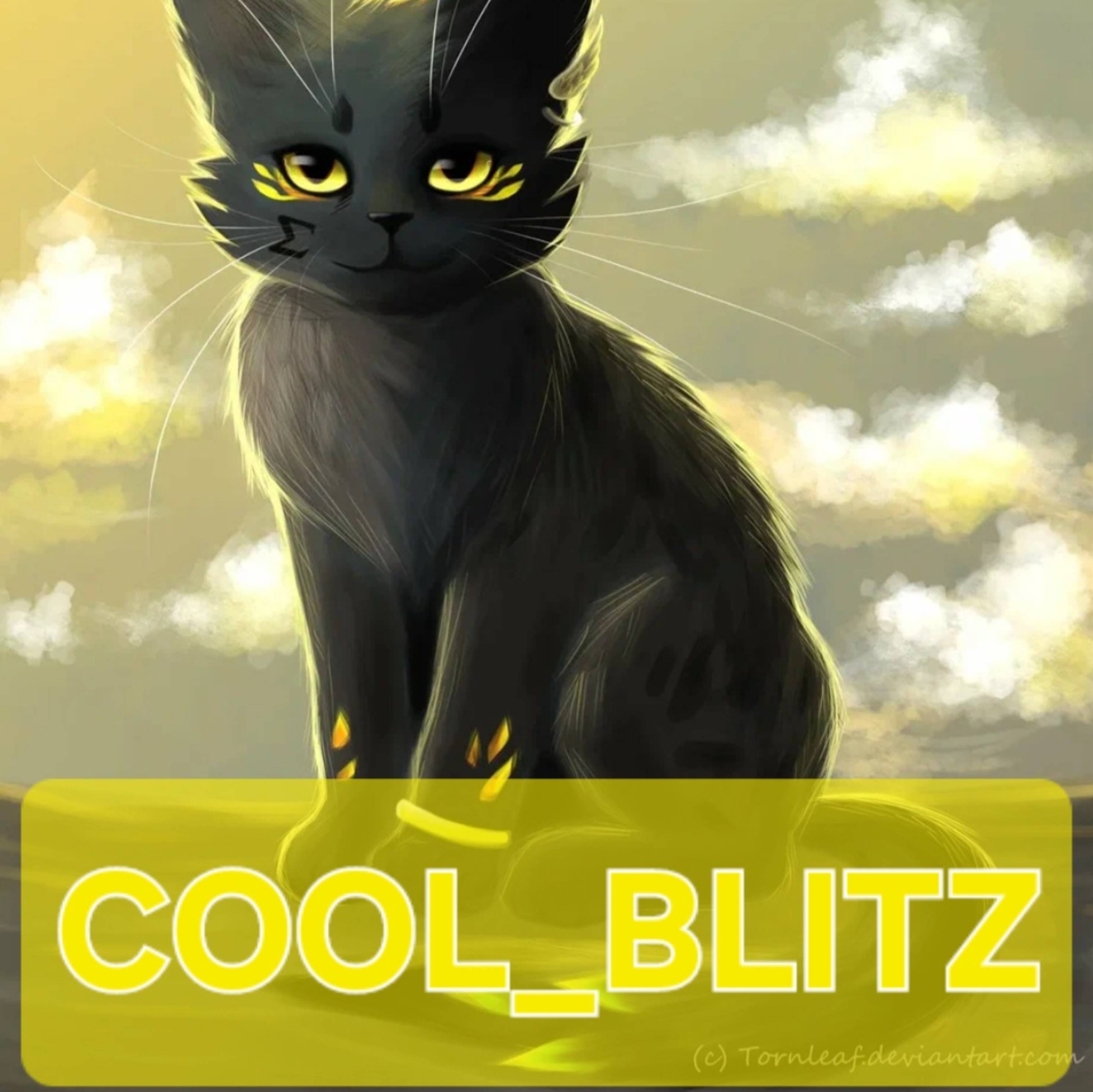 Иконка канала Cool_Blitz