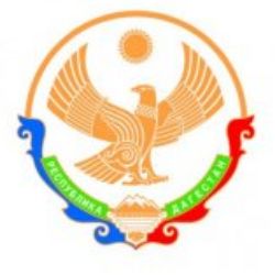Иконка канала shamiltindi