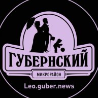 Иконка канала LeoGuberNews