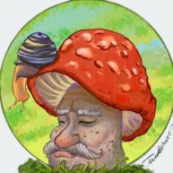 Иконка канала Дыхание Леса.Натуральные продукты.