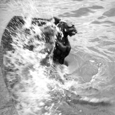 Иконка канала Алина Дмитриева_архивы и фотография