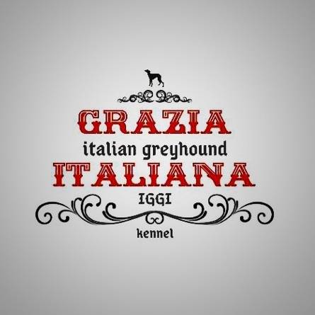Иконка канала GRAZIA ITALIANA kennel. Левретки