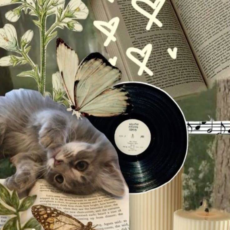 Иконка канала Cute Entertainment
