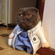 Иконка канала МедКот