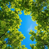 Иконка канала Aprelb