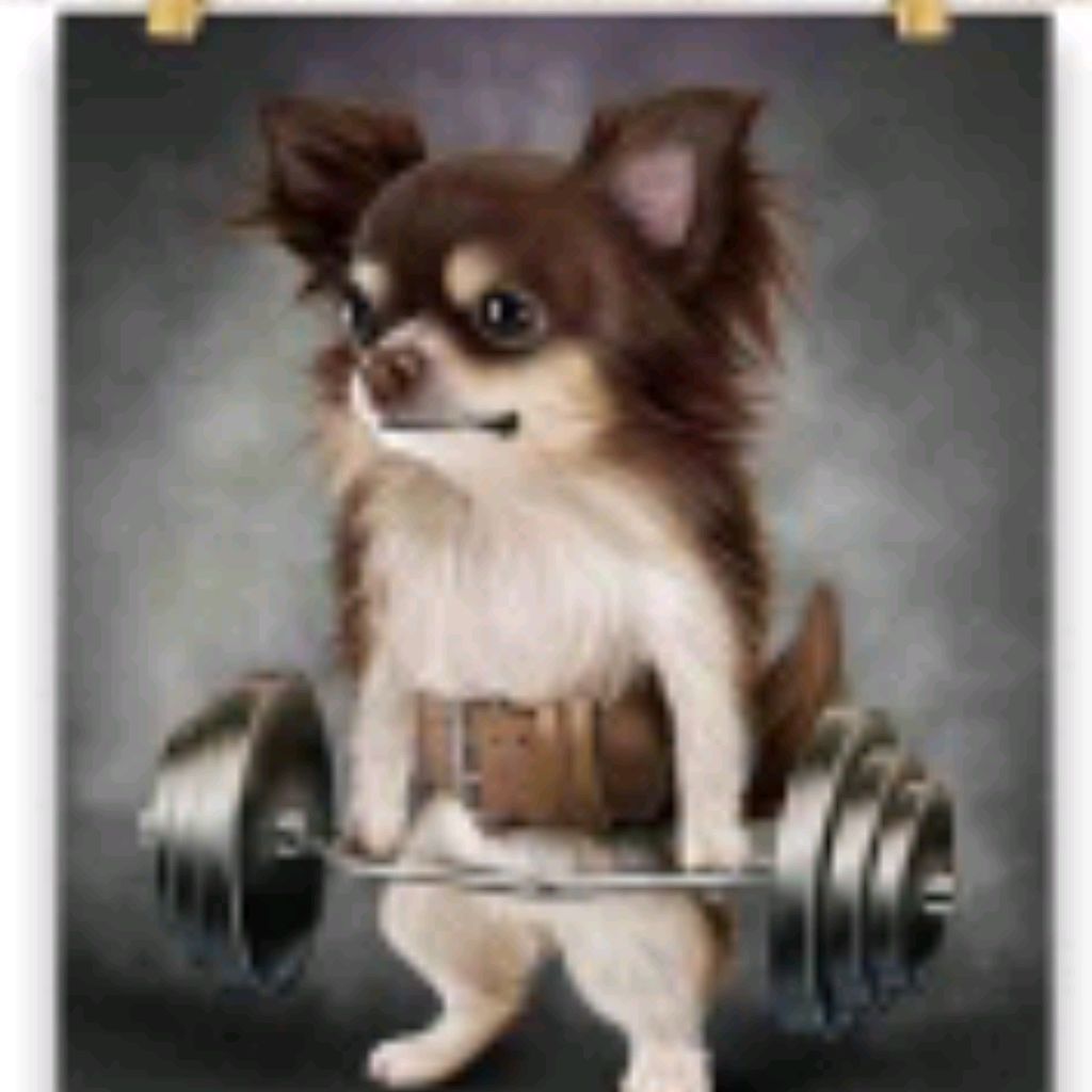 Иконка канала Гера Выжималка