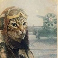 Иконка канала Кот Камышовый